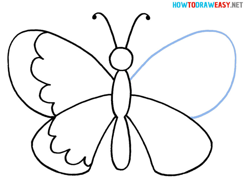 How to Draw a Butterfly - How to Draw Easy