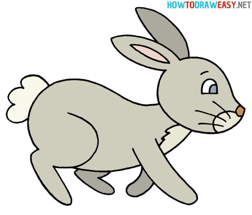 How to Draw a Bunny Step by Step - How to Draw Easy