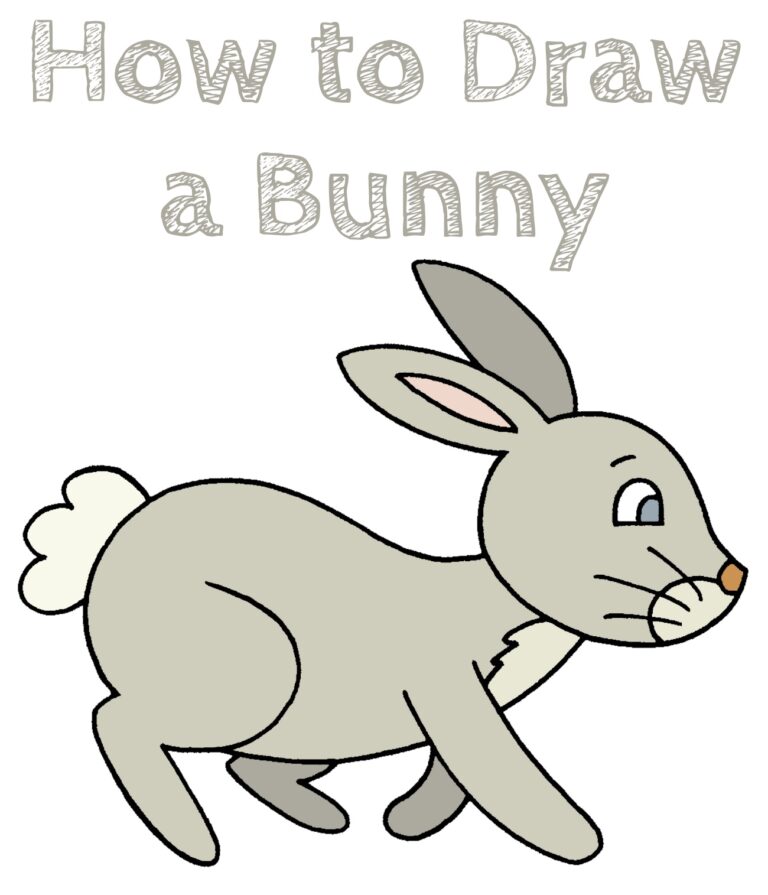 How to Draw a Bunny Step by Step - How to Draw Easy