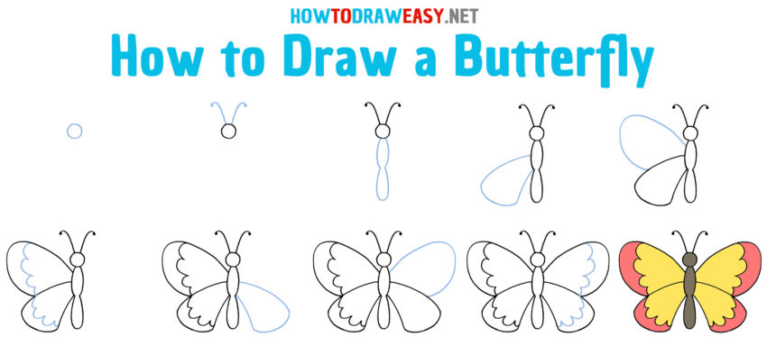 How to Draw a Butterfly - How to Draw Easy