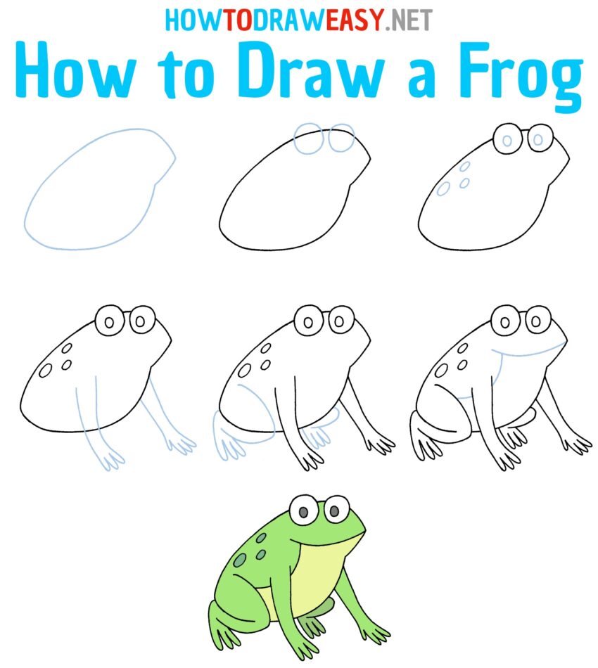 How to Draw a Frog Step-by-Step - How to Draw Easy