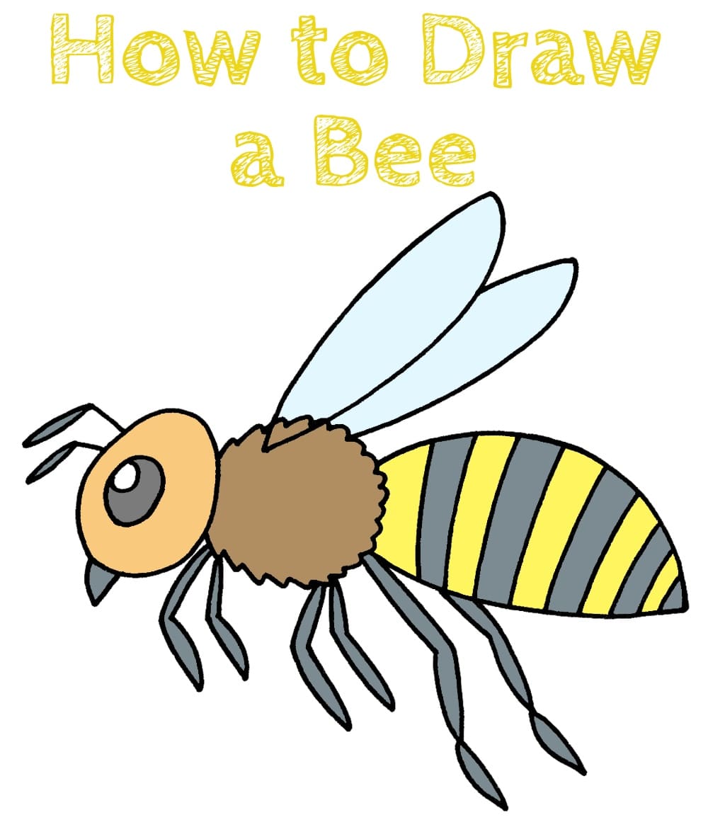 How To Draw A Bee Draw For Kids
