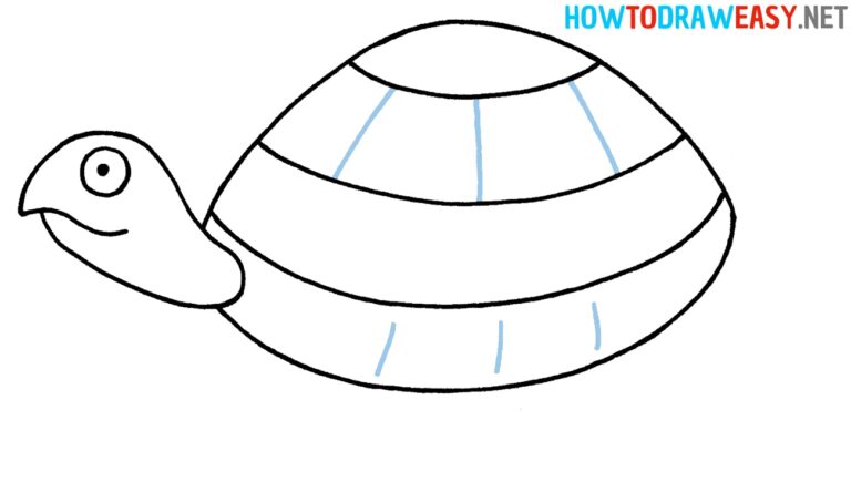How to Draw a Turtle - How to Draw Easy