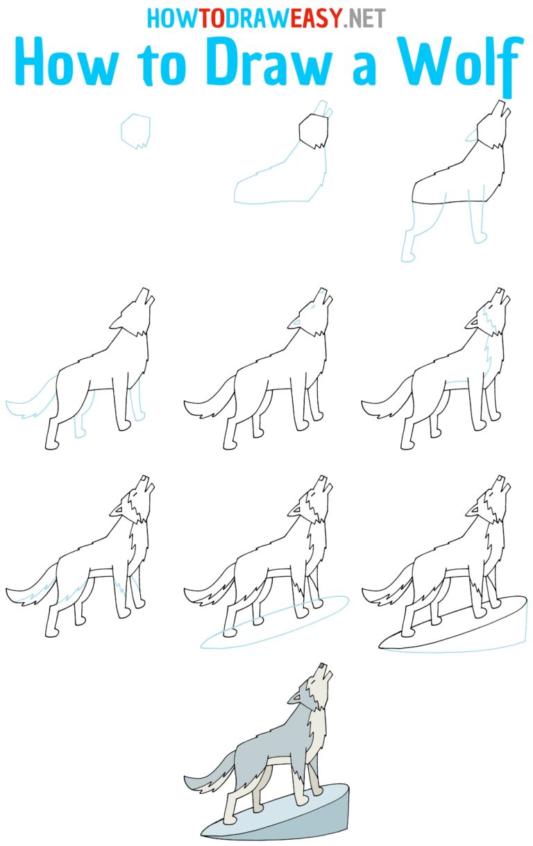 How to Draw a Wolf - How to Draw Easy