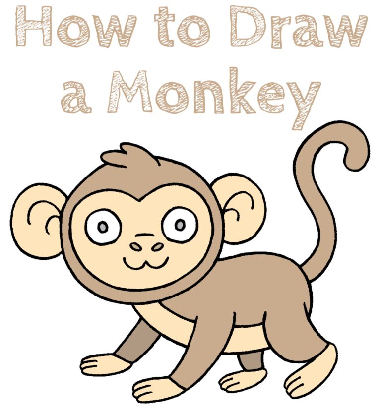 How to Draw a Monkey - How to Draw Easy