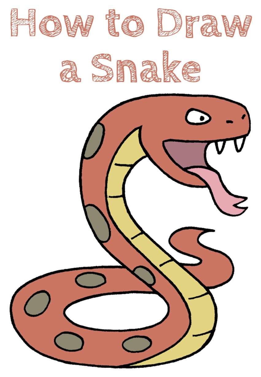 How to Draw a Snake - How to Draw Easy