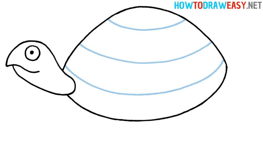 How to Draw a Turtle - How to Draw Easy