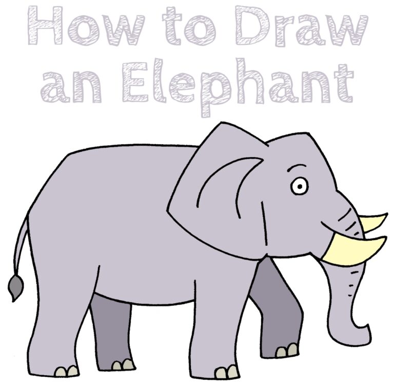 How to Draw an Elephant - How to Draw Easy