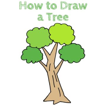 Plants and Trees Archives - How to Draw Easy