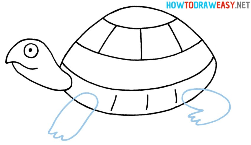 How to Draw a Turtle - How to Draw Easy