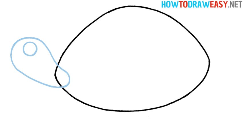 How to Draw a Turtle - How to Draw Easy