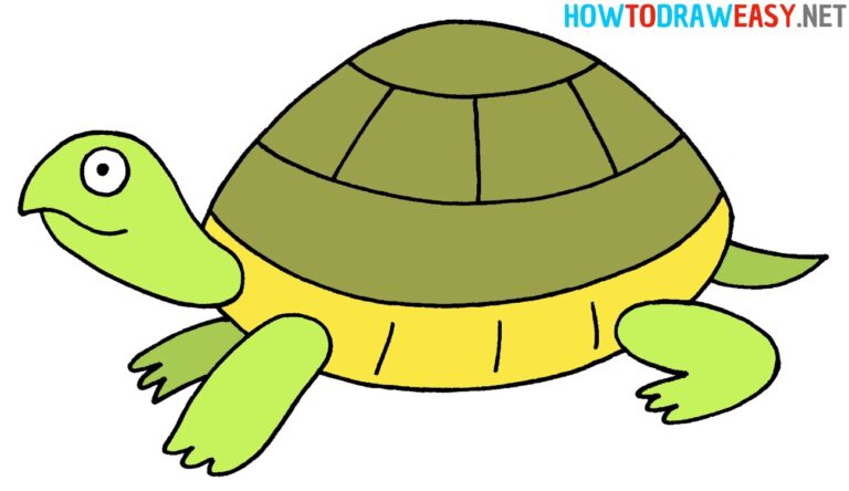 How to Draw a Turtle - How to Draw Easy