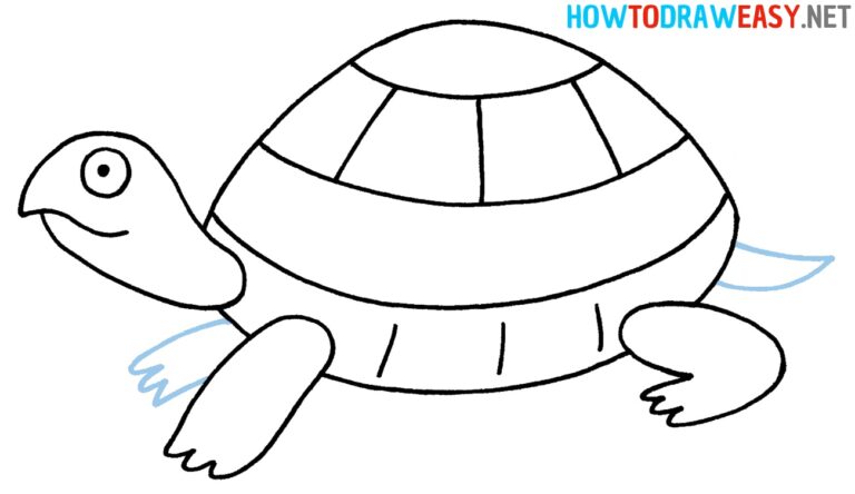 How to Draw a Turtle - How to Draw Easy