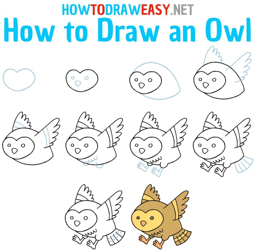 How to Draw an Owl Step by Step - How to Draw Easy