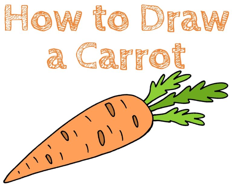 How to Draw a Carrot - How to Draw Easy