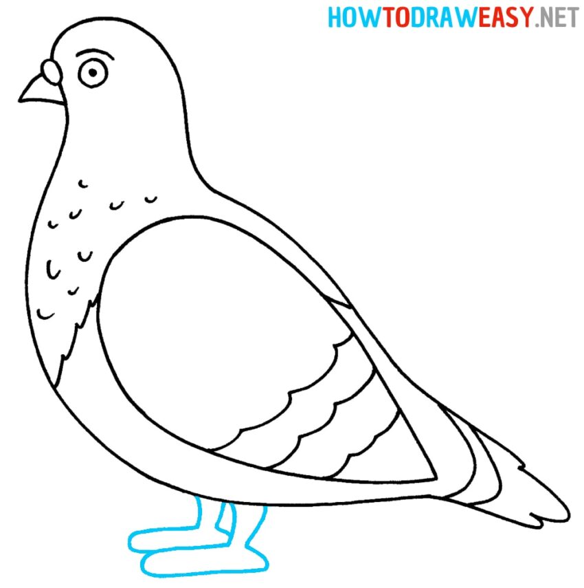 How to Draw a Pigeon - How to Draw Easy