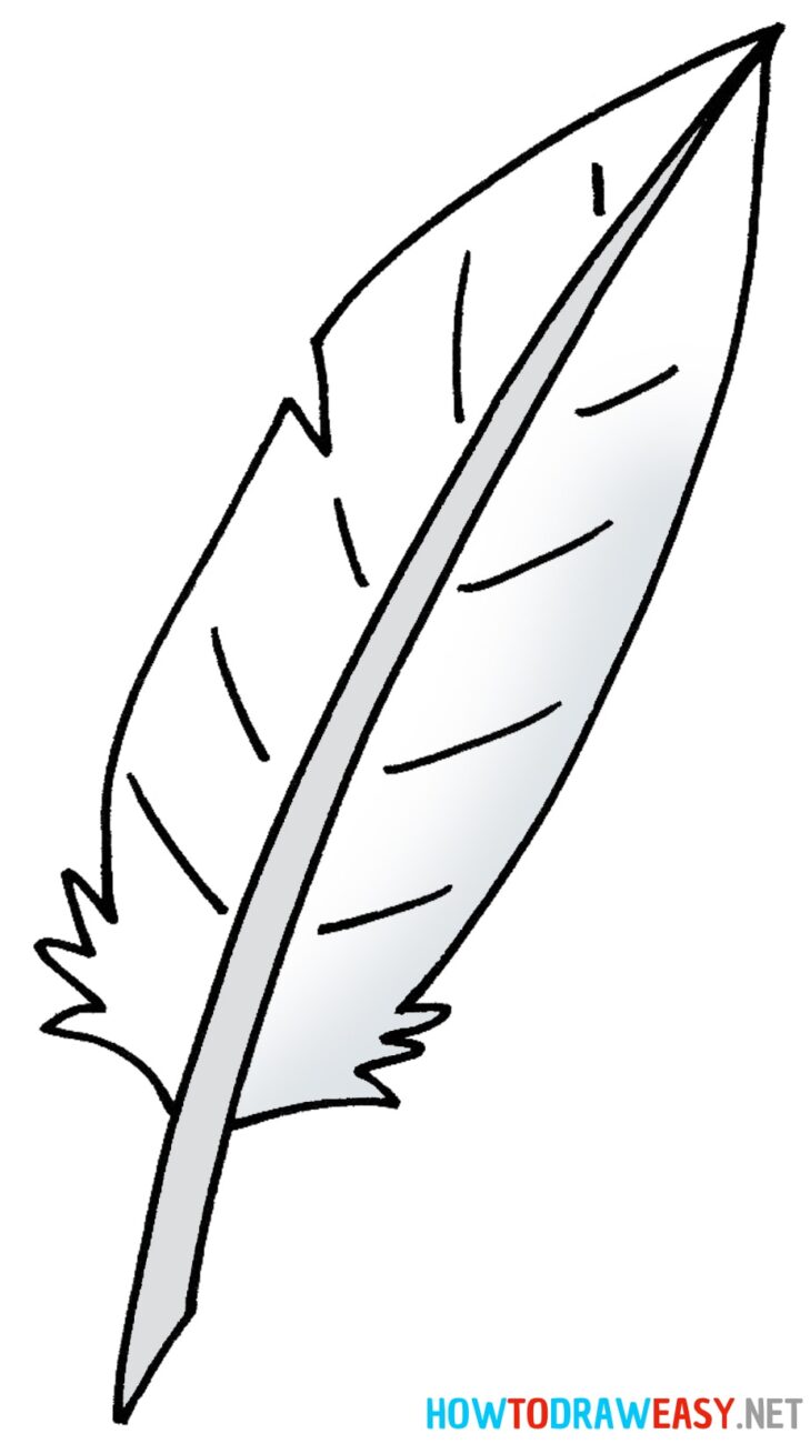 How to Draw a Feather - How to Draw Easy