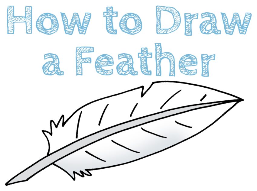 How to Draw a Feather - How to Draw Easy