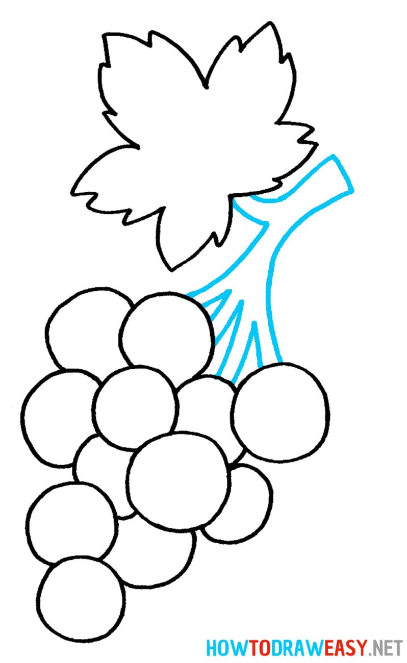 How to Draw Grapes Step by Step - How to Draw Easy