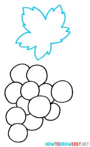 How to Draw Grapes Step by Step - How to Draw Easy