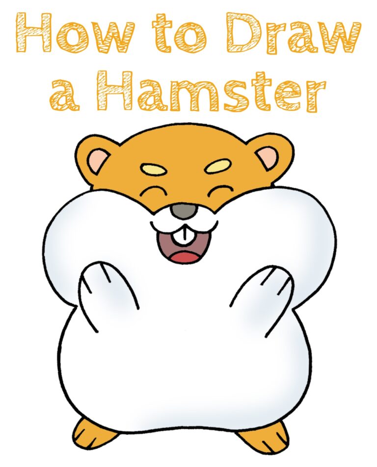 How To Draw A Hamster How To Draw Easy