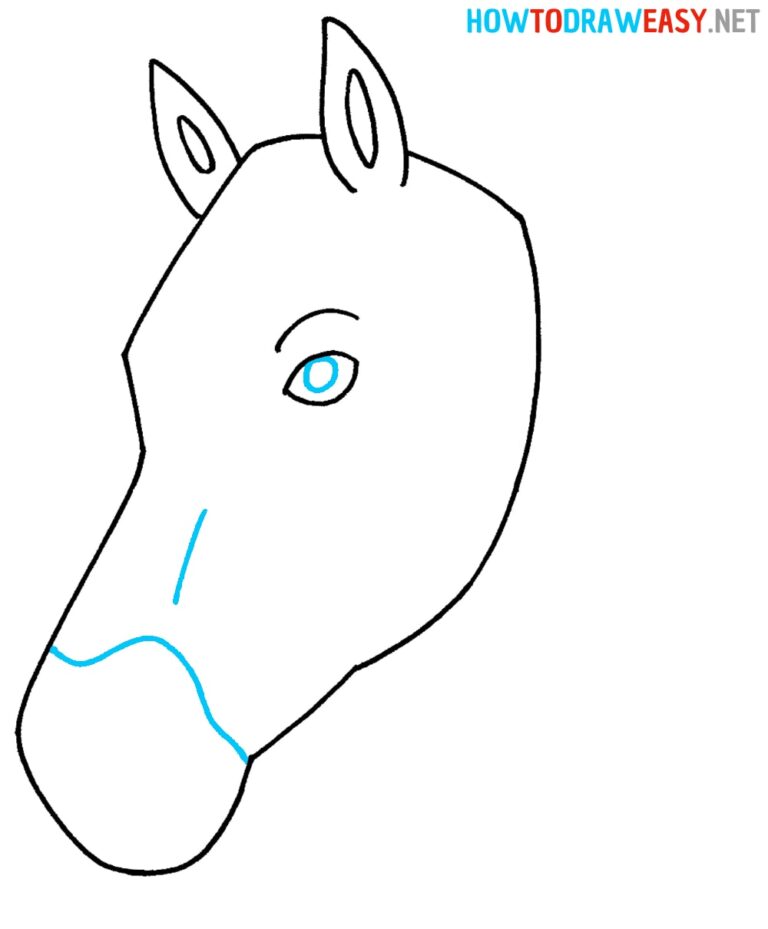 How to Draw a Horse Head - How to Draw Easy