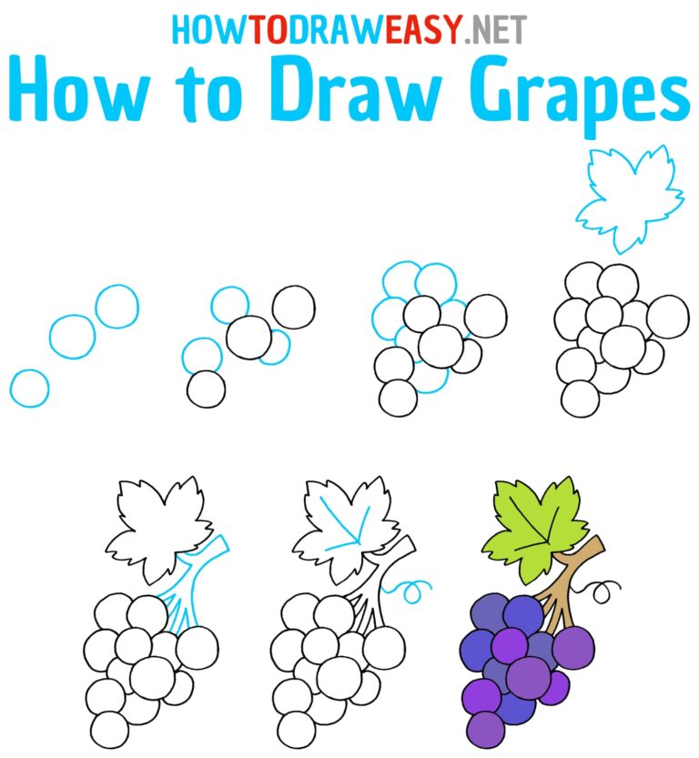 How to Draw Grapes Step by Step - How to Draw Easy