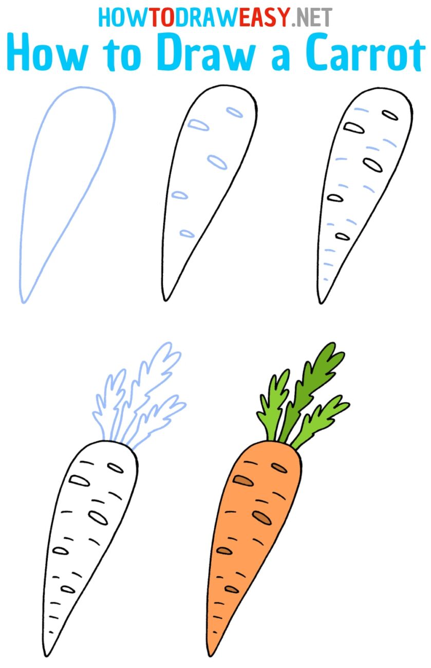 How to Draw a Carrot - How to Draw Easy