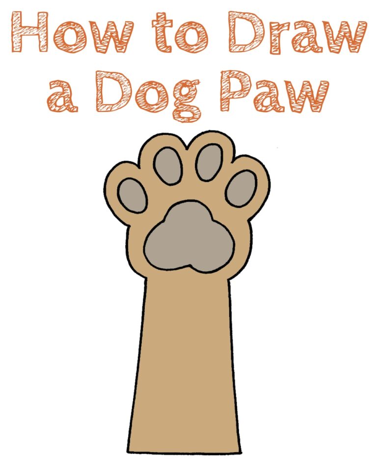 How to Draw a Dog Paw - How to Draw Easy