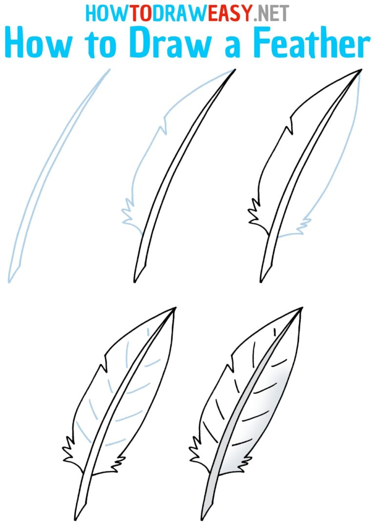 How to Draw a Feather - How to Draw Easy