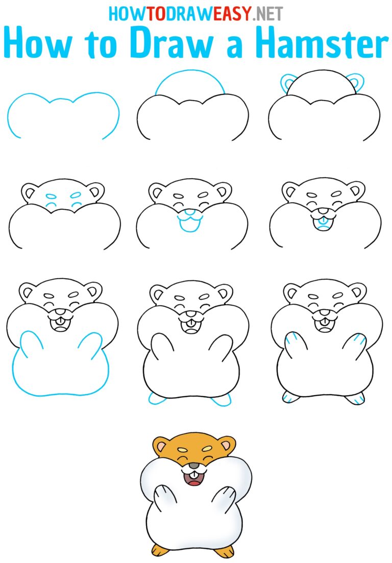 How to Draw a Hamster - How to Draw Easy