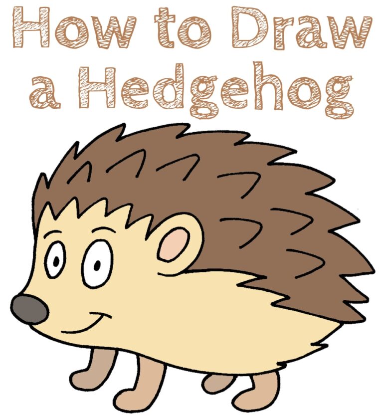 How to Draw a Hedgehog - How to Draw Easy