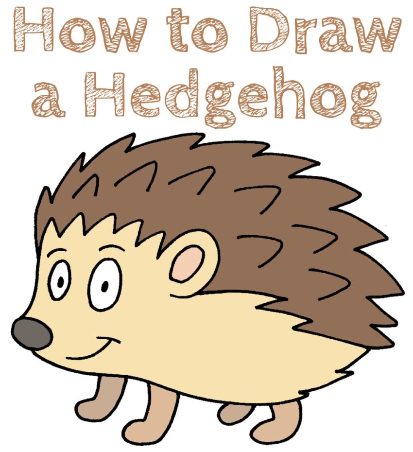 How to Draw a Hedgehog - How to Draw Easy