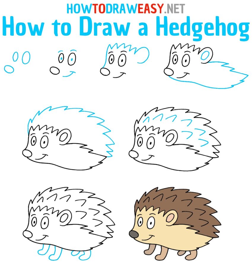 How to Draw a Hedgehog - How to Draw Easy