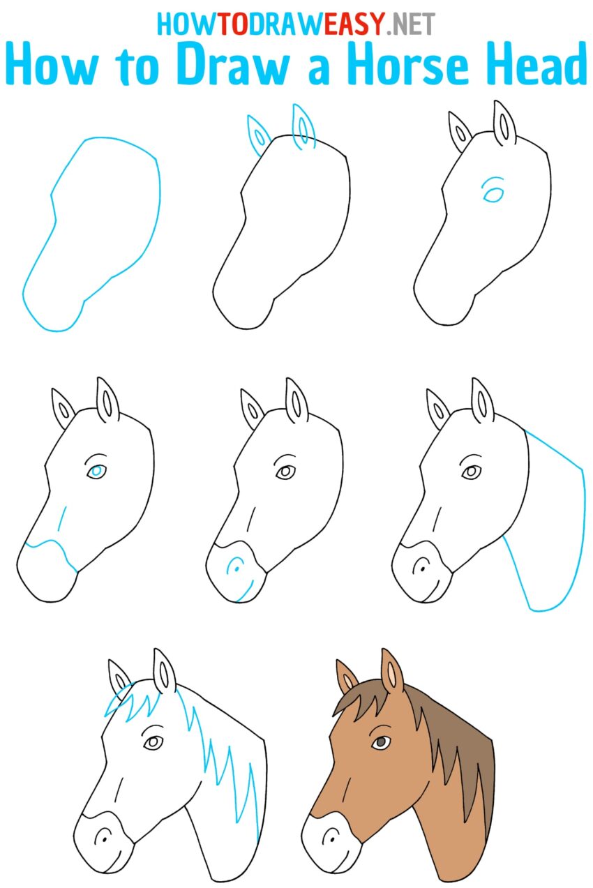 How to Draw a Horse Head - How to Draw Easy