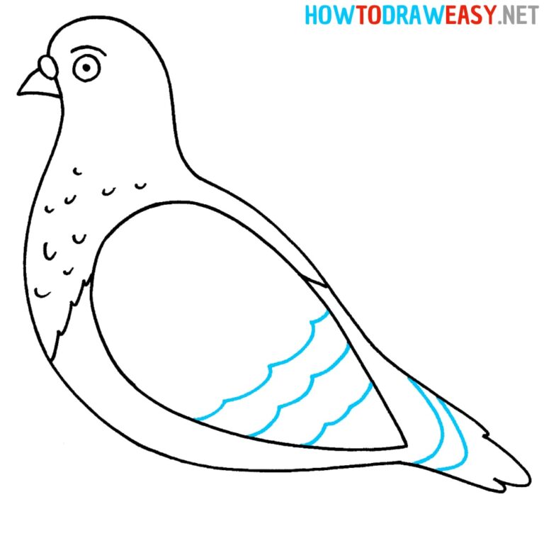 How to Draw a Pigeon - How to Draw Easy