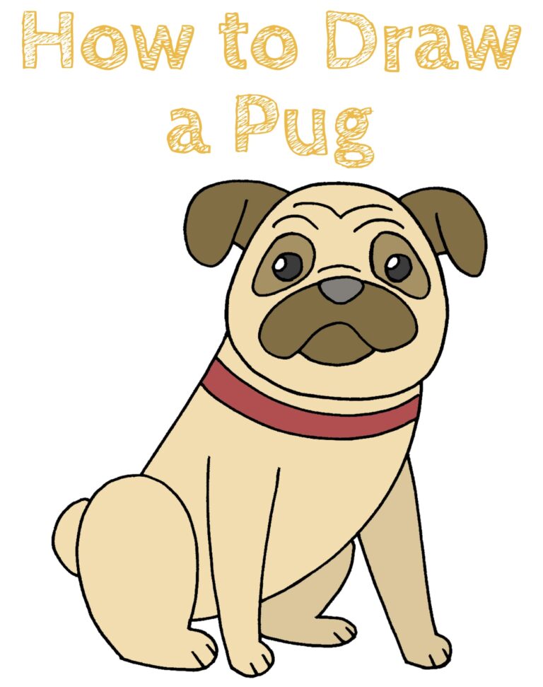 How to Draw a Pug - How to Draw Easy