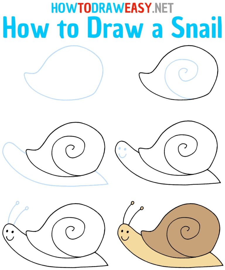 How to Draw a Snail - How to Draw Easy