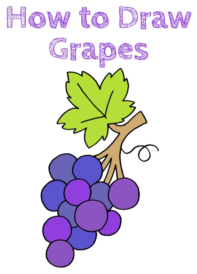 How to Draw Grapes Step by Step - How to Draw Easy