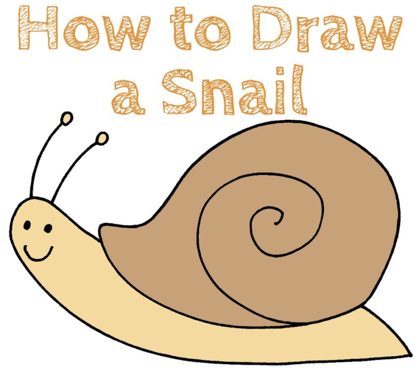 How to Draw a Snail - How to Draw Easy
