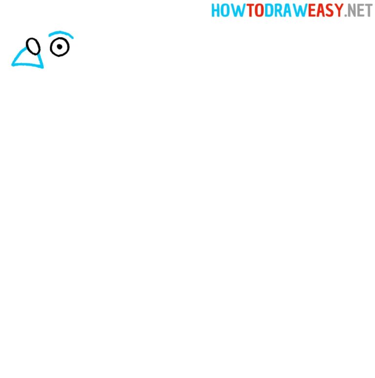 How to Draw a Pigeon - How to Draw Easy