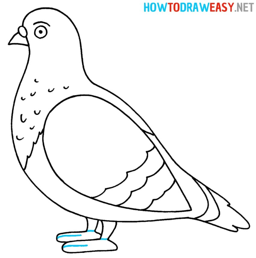 How to Draw a Pigeon - How to Draw Easy