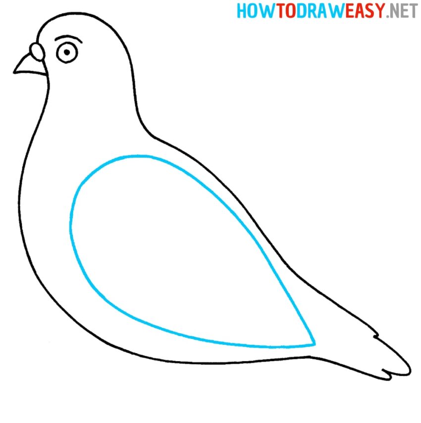 How to Draw a Pigeon - How to Draw Easy