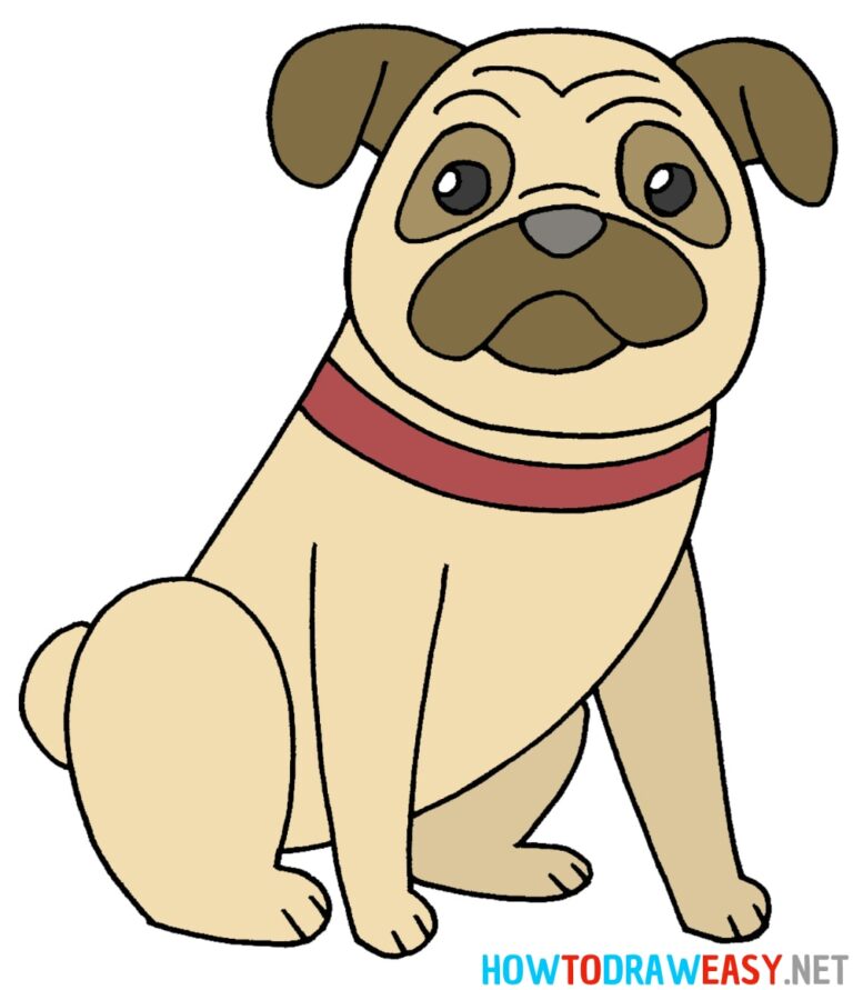 How to Draw a Pug - How to Draw Easy