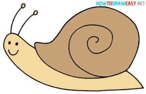 How to Draw a Snail - How to Draw Easy