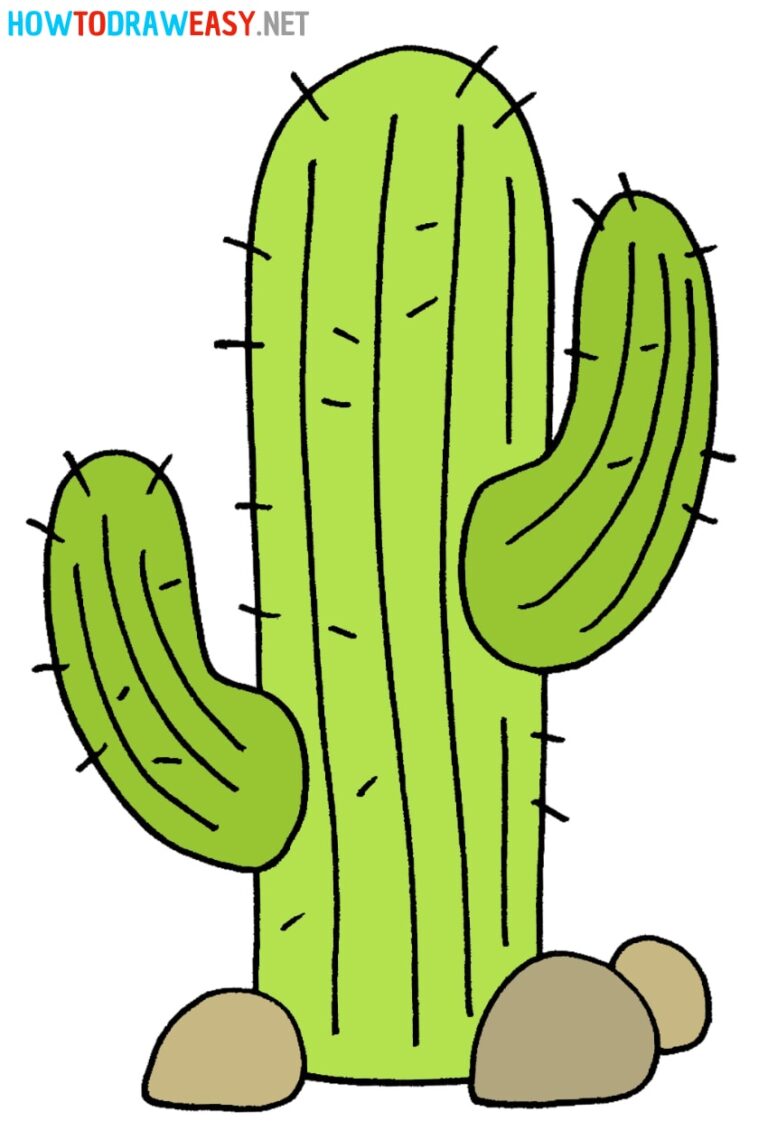 How to Draw a Cactus Step-by-Step - How to Draw Easy