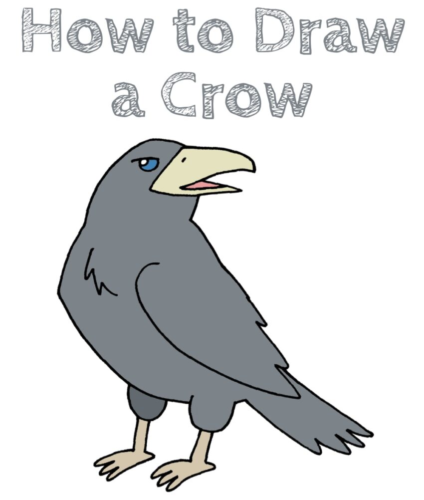 How to Draw a Crow - How to Draw Easy