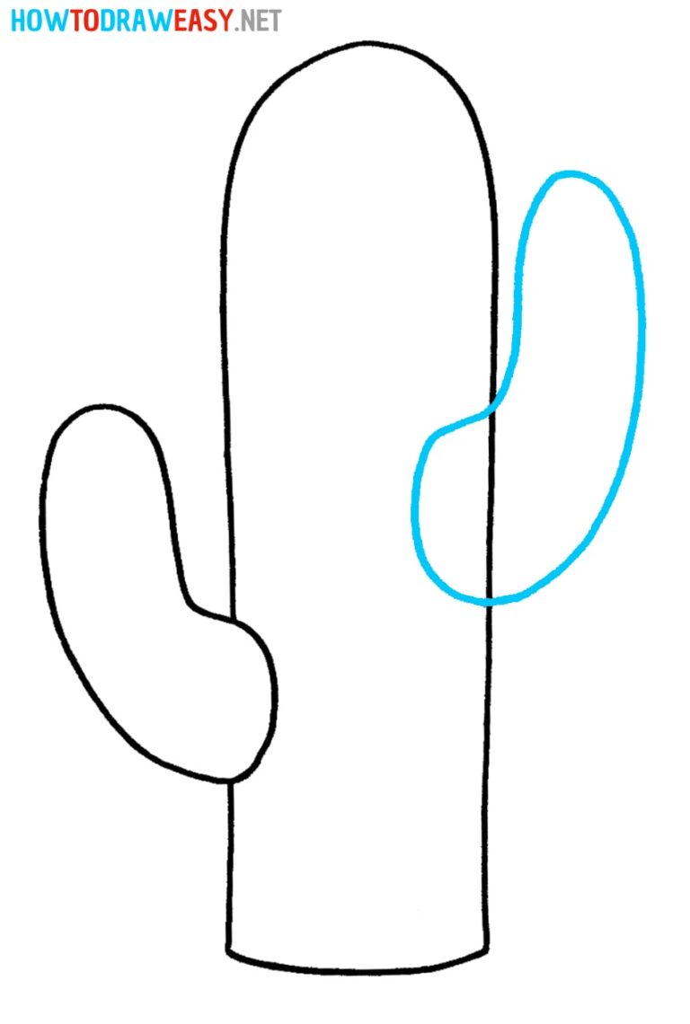 How to Draw a Cactus Step-by-Step - How to Draw Easy
