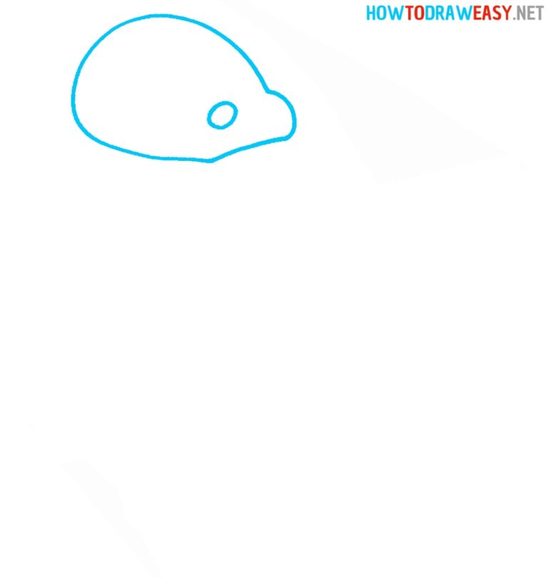 How to Draw an Octopus - How to Draw Easy