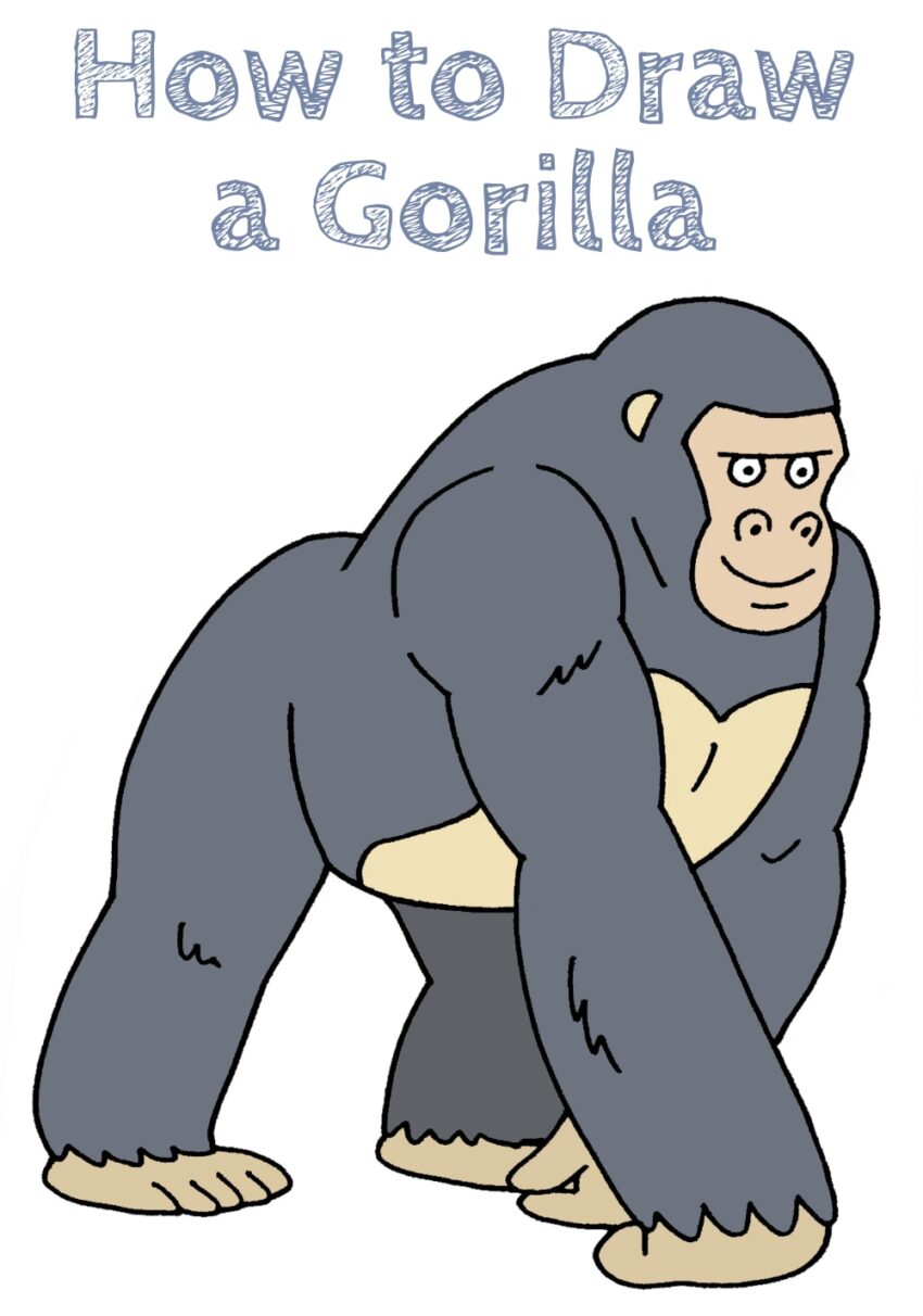 How to Draw a Gorilla - How to Draw Easy